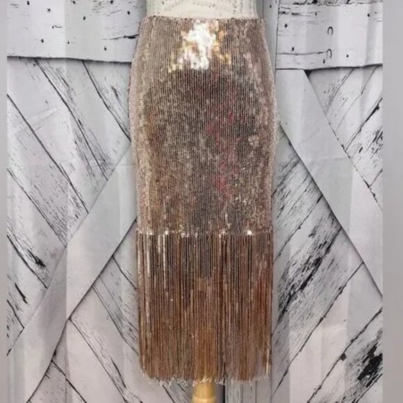 Lena | Skirts | Stunning92s Flapper Style Silver Sequin Fringe Pencil ...